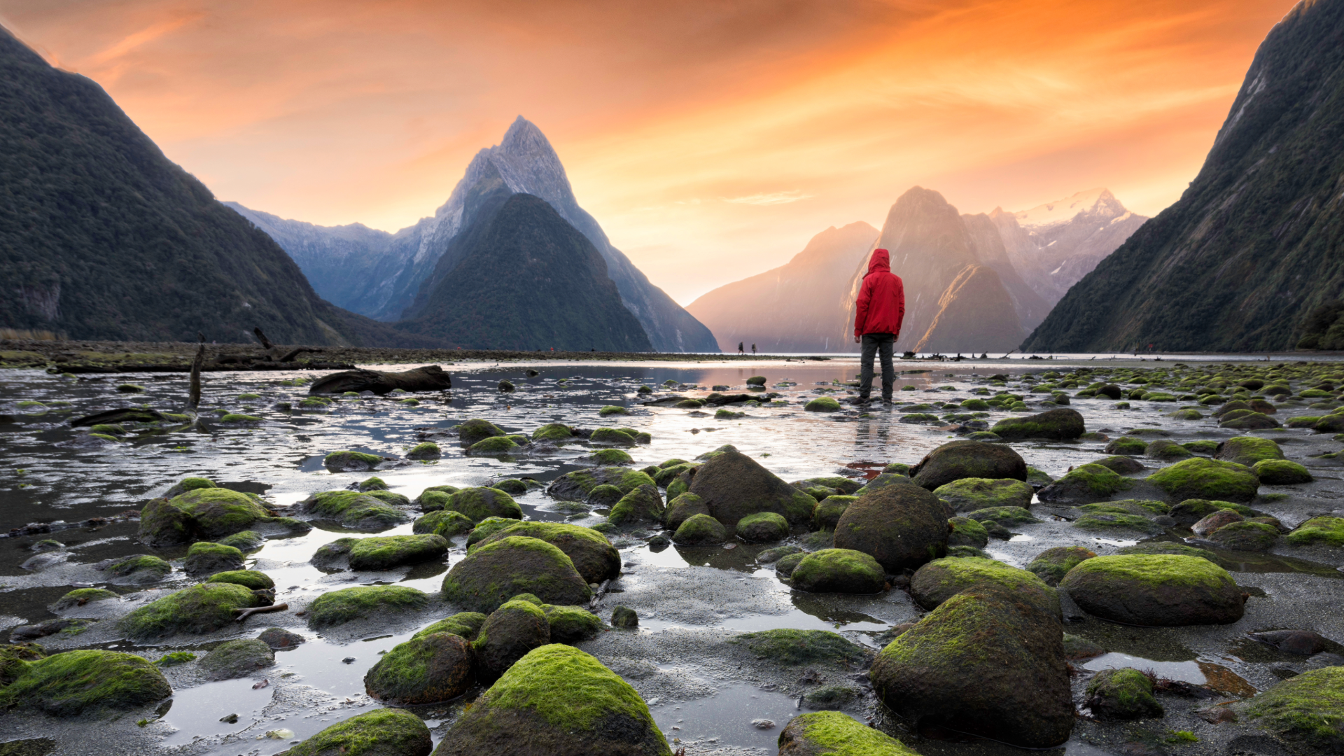 Maximize Your Miles with Delta Vacations: Exclusive Deals and Luxury ...