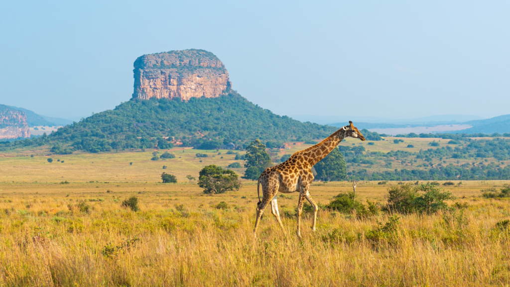 Top National Parks Across the Globe: A Bucket List for Nature Lovers